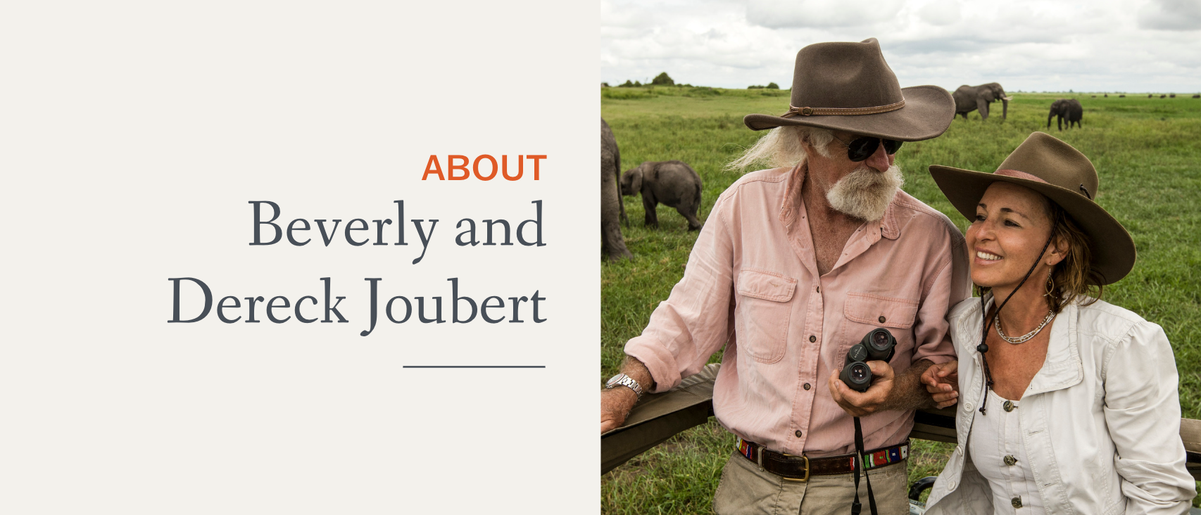 You’re invited to an evening with Beverly and Dereck Joubert - Safari ...